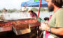 36th annual Llano Crawfish Open: one shell of a good time - 101 ...