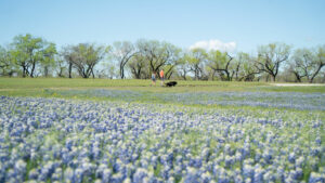 EXPLORING LCRA PARKS: Muleshoe Bend Recreation Area - 101 Highland Lakes
