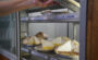 Iconic Blue Bonnet Cafe dishes out down-home food and Texas-size charm ...