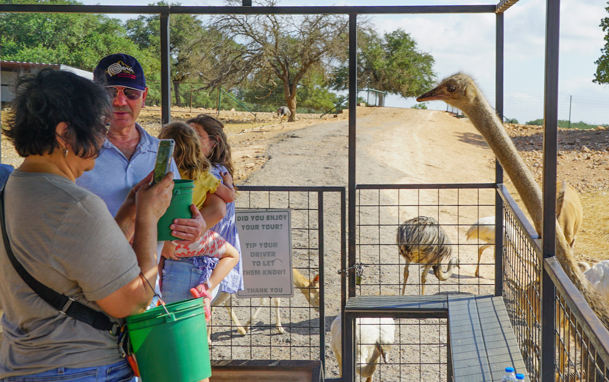 Take a wild ride at Exotic Resort Zoo - 101 Highland Lakes