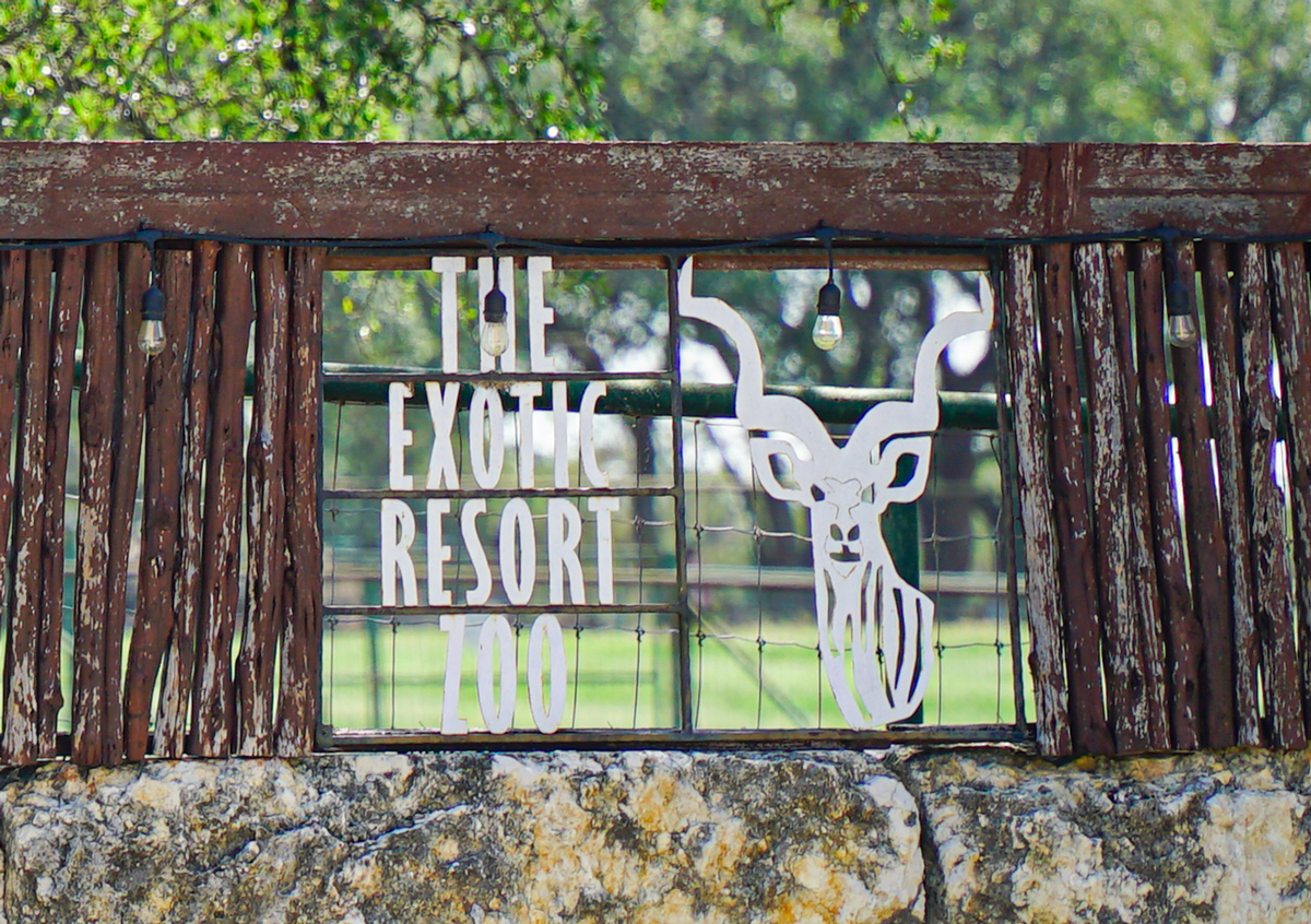 Take a wild ride at Exotic Resort Zoo - 101 Highland Lakes