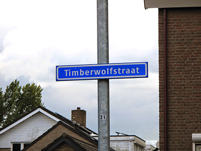 World War II veteran retraces steps of Timberwolves unit