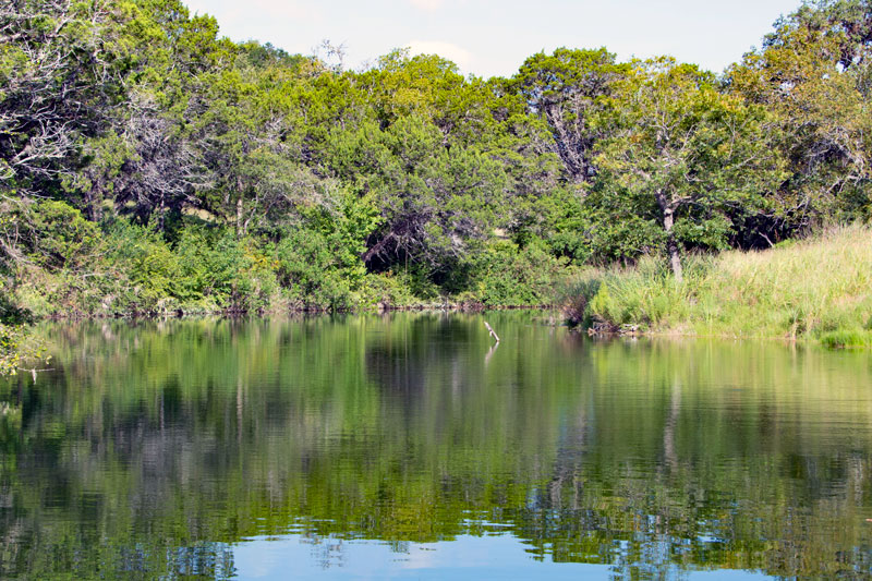 Wringing water from rocks at Selah, Bamberger Ranch Preserve ...