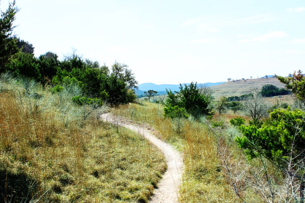 Walk for the Wild at Balcones Canyonlands - DailyTrib.com