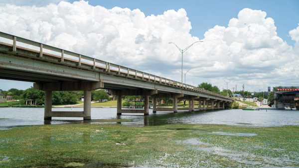 Invasive hydrilla explodes across the Highland Lakes - DailyTrib.com