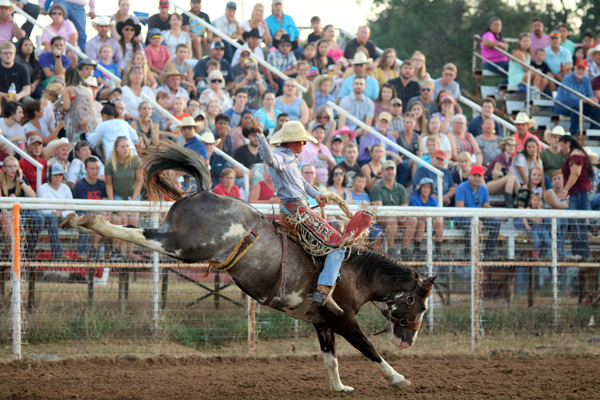 Marble Falls Rodeo kicks up some dirt July 19-20 - DailyTrib.com