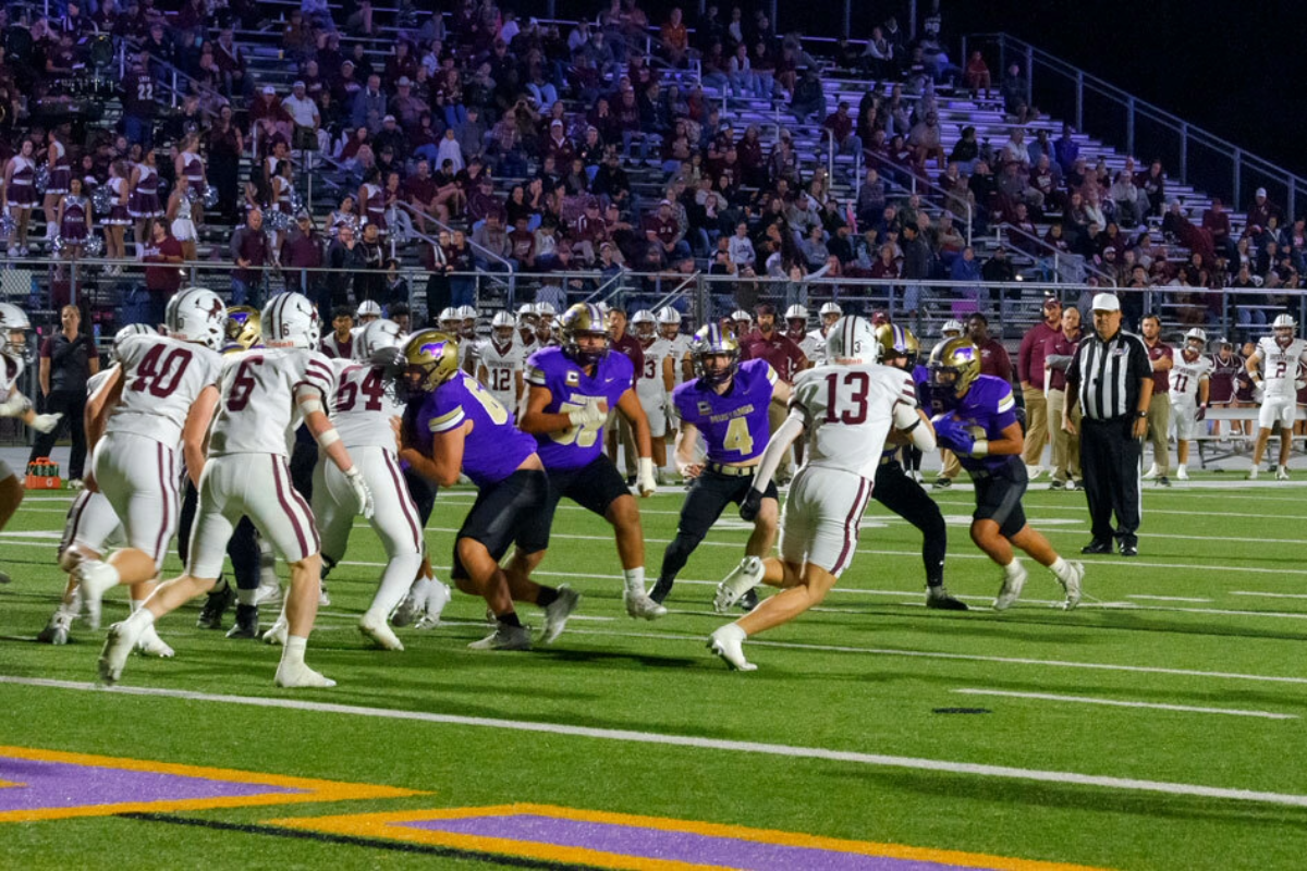 Mustangs show signs of growth beyond 2025 record - DailyTrib.com