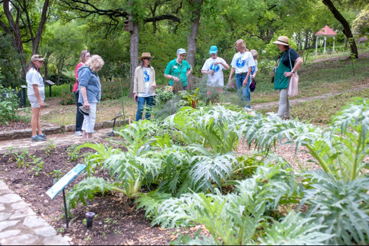 Master Gardener photo - DailyTrib.com